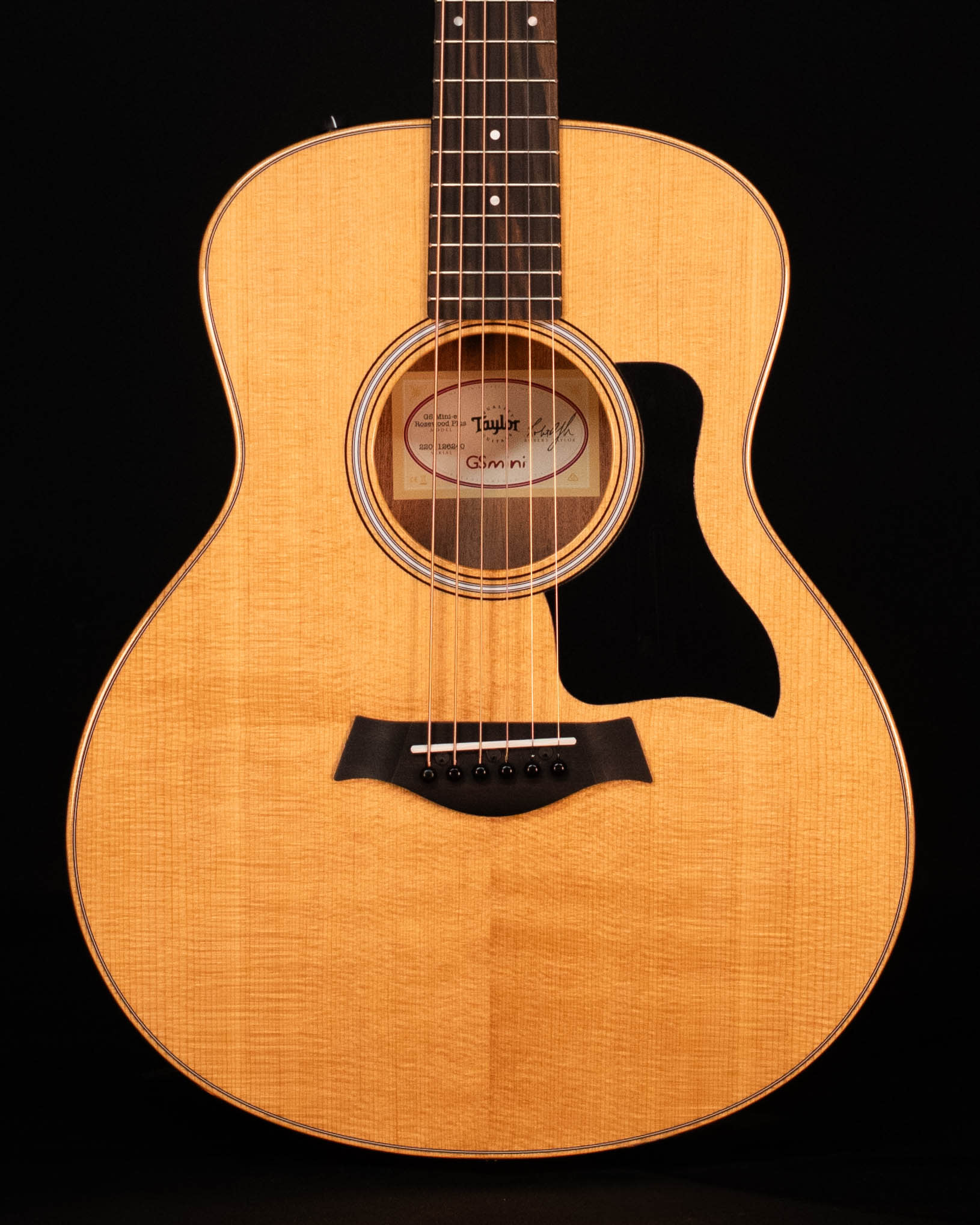 Taylor GS Mini-e Rosewood Plus - Sims Music