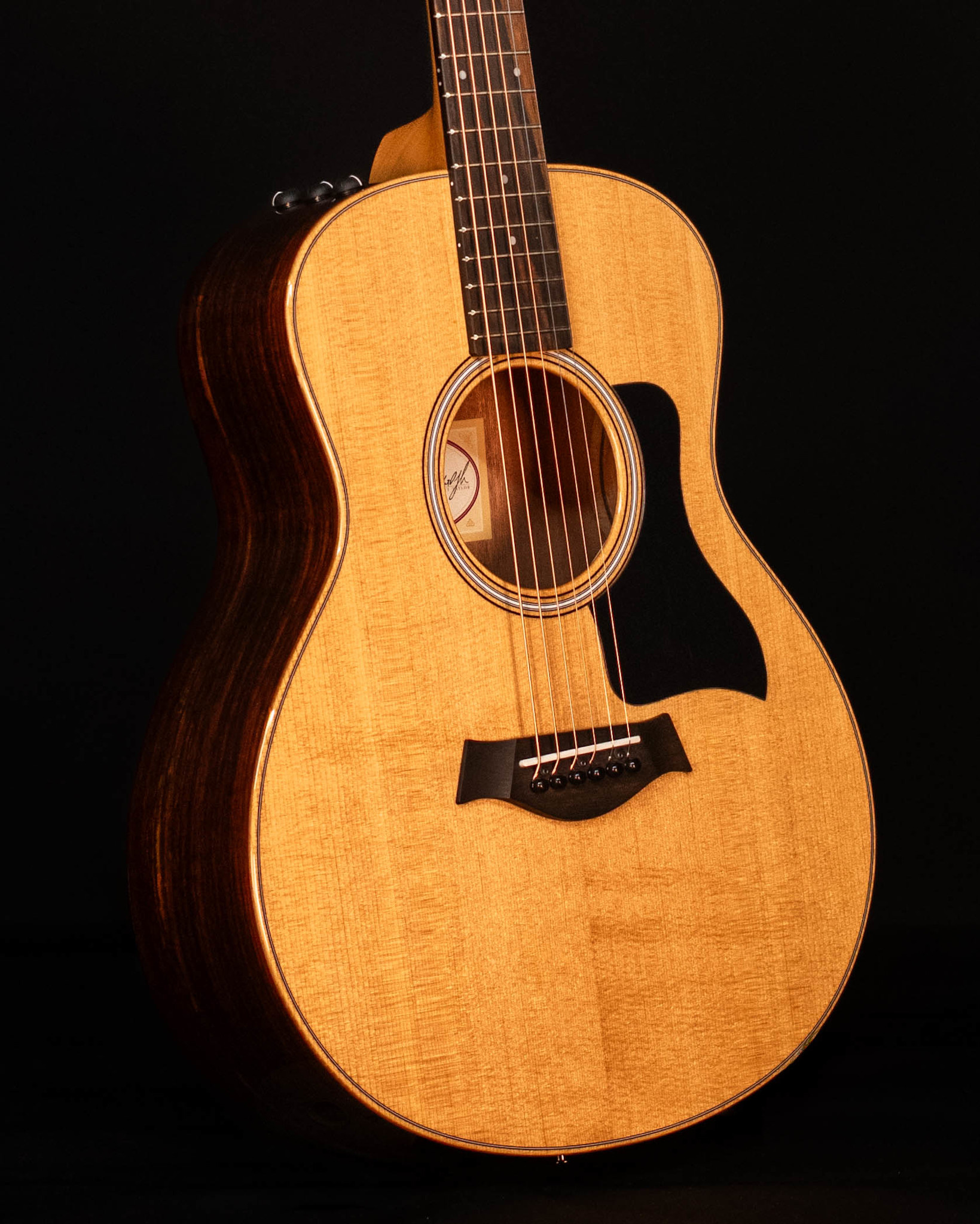 Taylor GS Mini-e Rosewood Plus - Sims Music