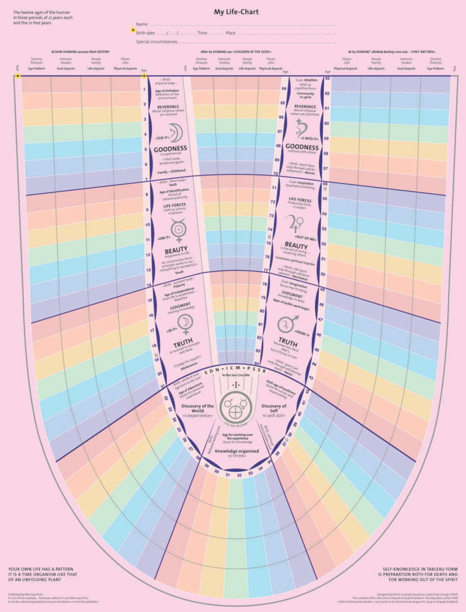 Human Life Chart - Paper Pipit