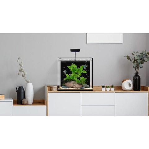 Waterbox Cube 10 | Aquarium Illusions Inc 17211 - 107 ave NW