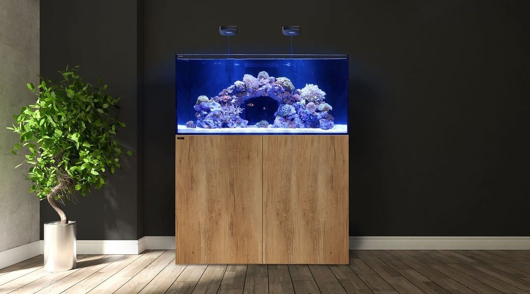 Waterbox Marine X 60.2 Oak | Aquarium Illusions Inc 17211 - 107 ave NW