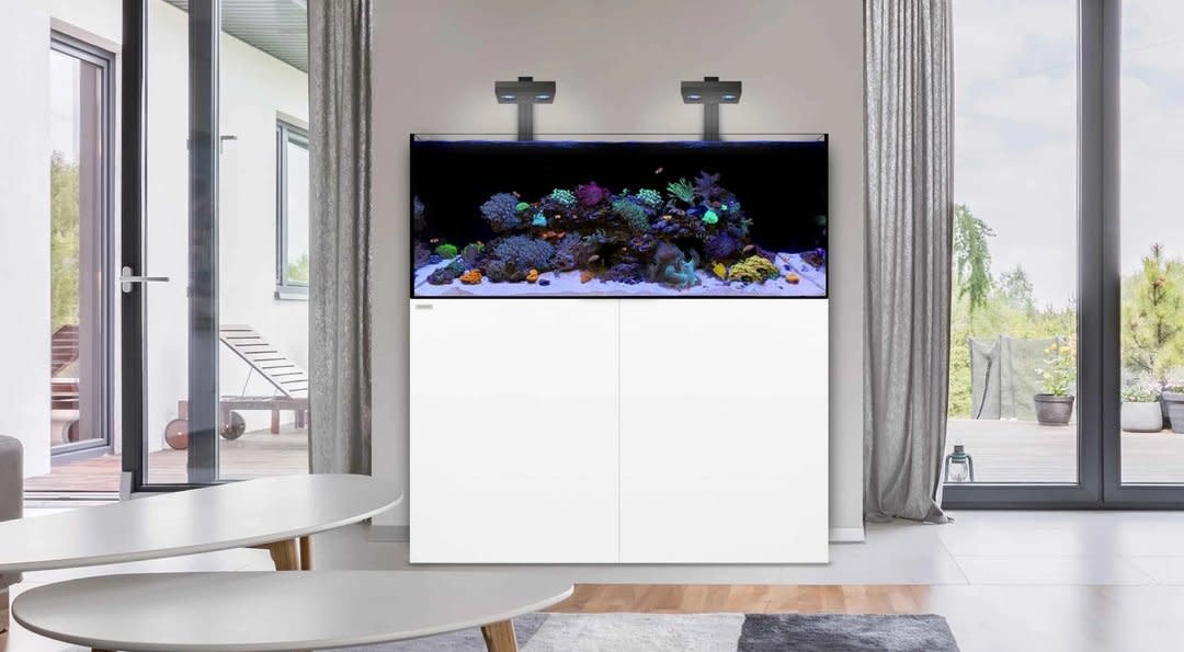 Waterbox Reef 220.6 White | Aquarium Illusions Inc 17211 - 107 ave NW