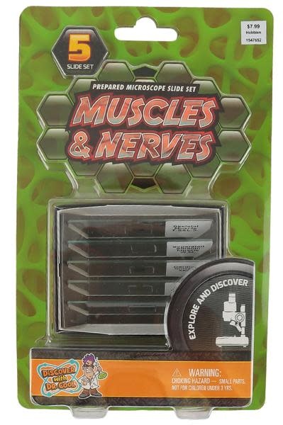 Prepared Microscope Slides Muscles And Nerves Single Camera