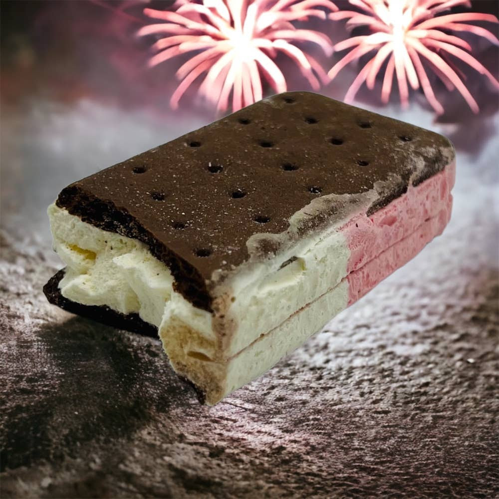 Luvyduvy Astronaut Neapolitan Ice Cream Sandwich - Camera Concepts ...