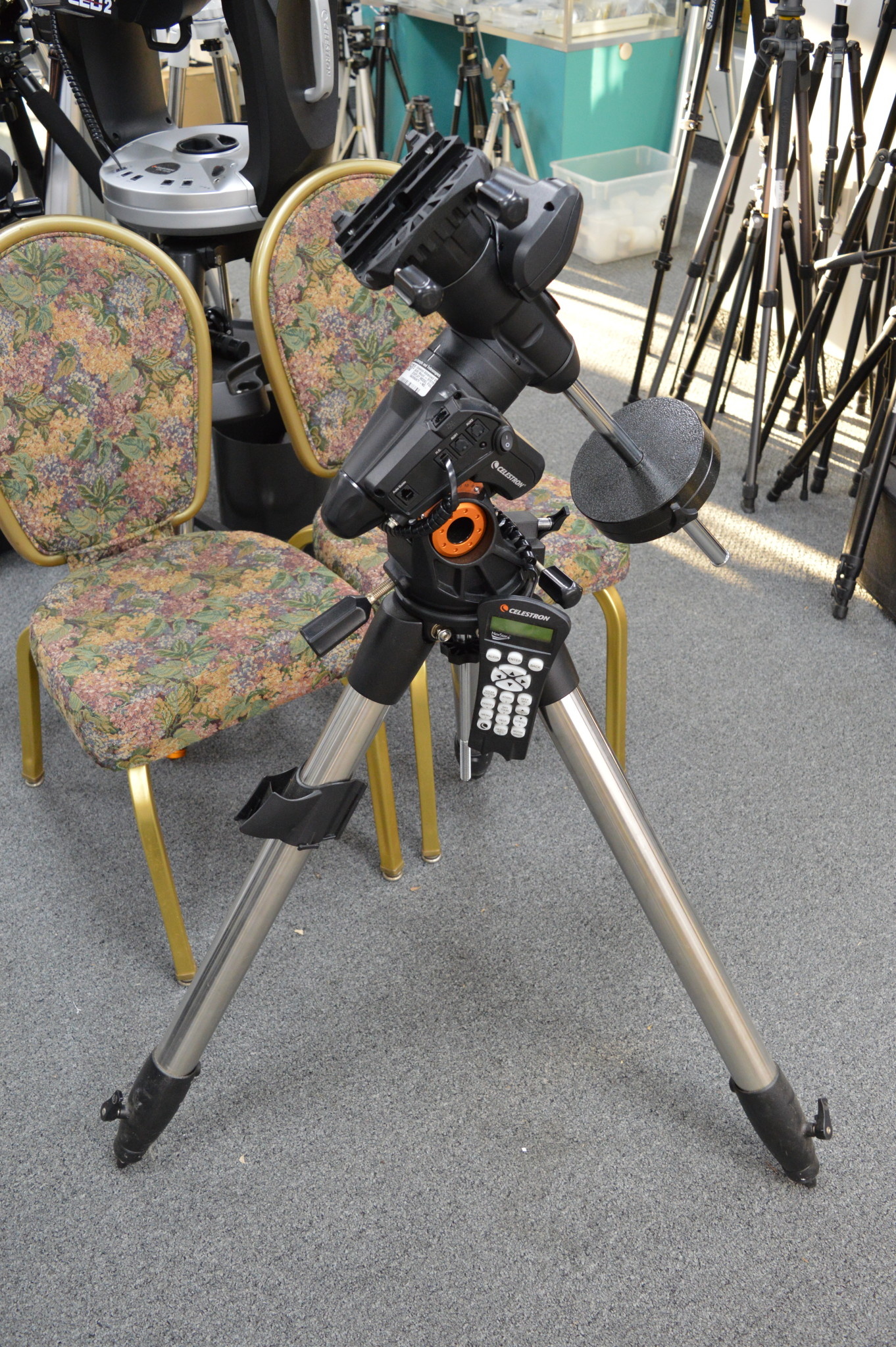 Celestron Advanced VX (AVX) Mount - 91519 (DISPLAY MODEL FULL WARRANTY ...