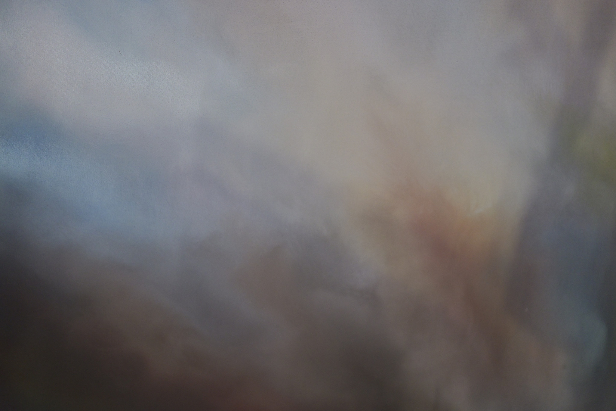 denny Canvas backgrounds OM 8450 7x8 - Camera Concepts & Telescope ...