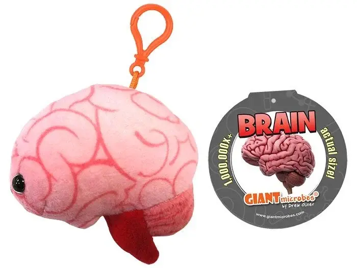 Giant Microbes Brain Model Keychain - Camera Concepts & Telescope Solutions