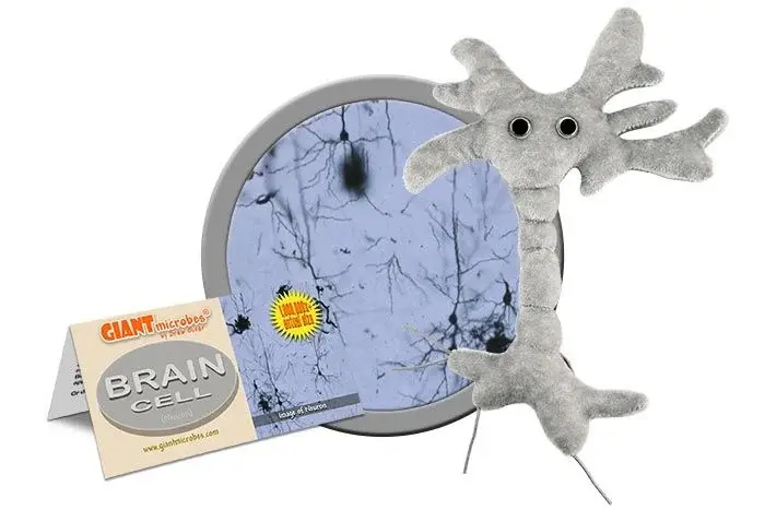 Giant Microbes Brain Cell Plush - Camera Concepts & Telescope Solutions