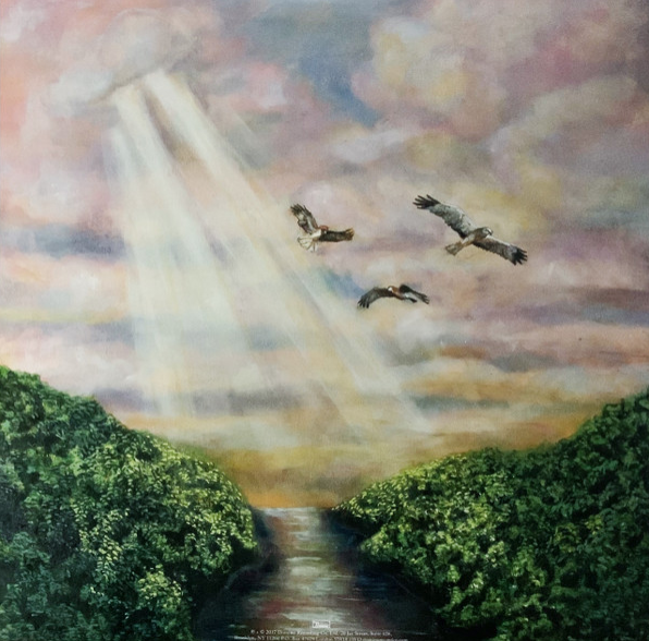 Alex G - Rocket - Mindbomb Records