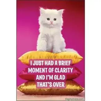 Magnet - I Just Had A Brief Moment Of Clarity And I'm Glad - Cameron Rose