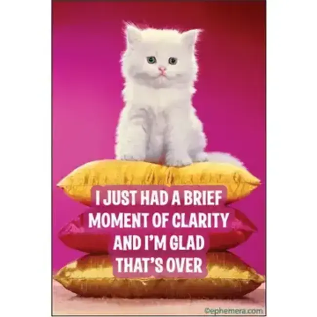 Magnet - I Just Had A Brief Moment Of Clarity And I'm Glad - Cameron Rose