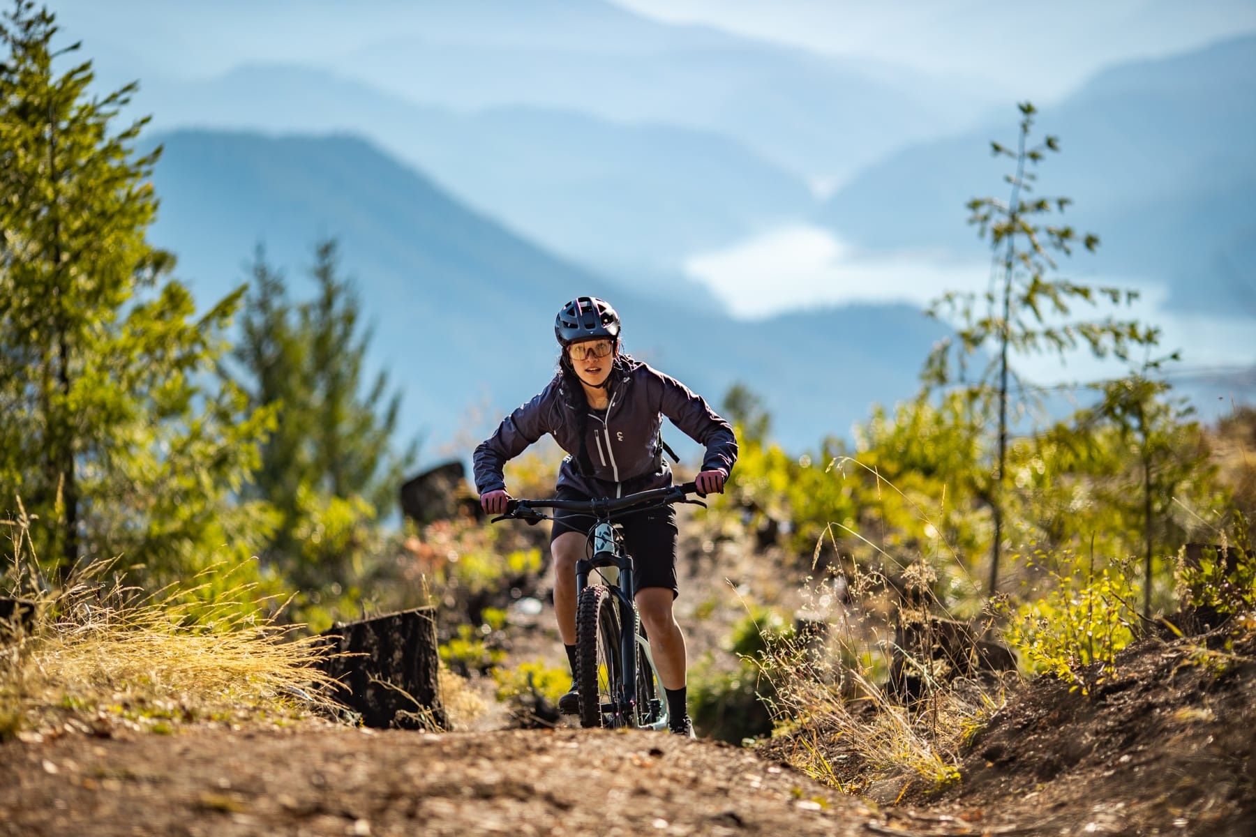 Bike Services - Alpine Bike Works