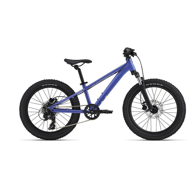 STP 20 FS-LIV Dusted Peri - Alpine Bike Works