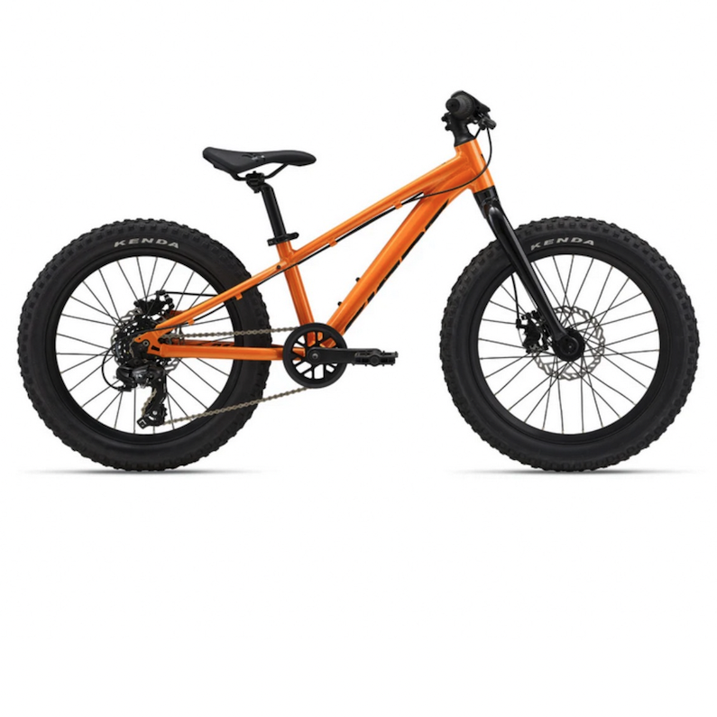 STP 20-Giant Sandstorm - Alpine Bike Works