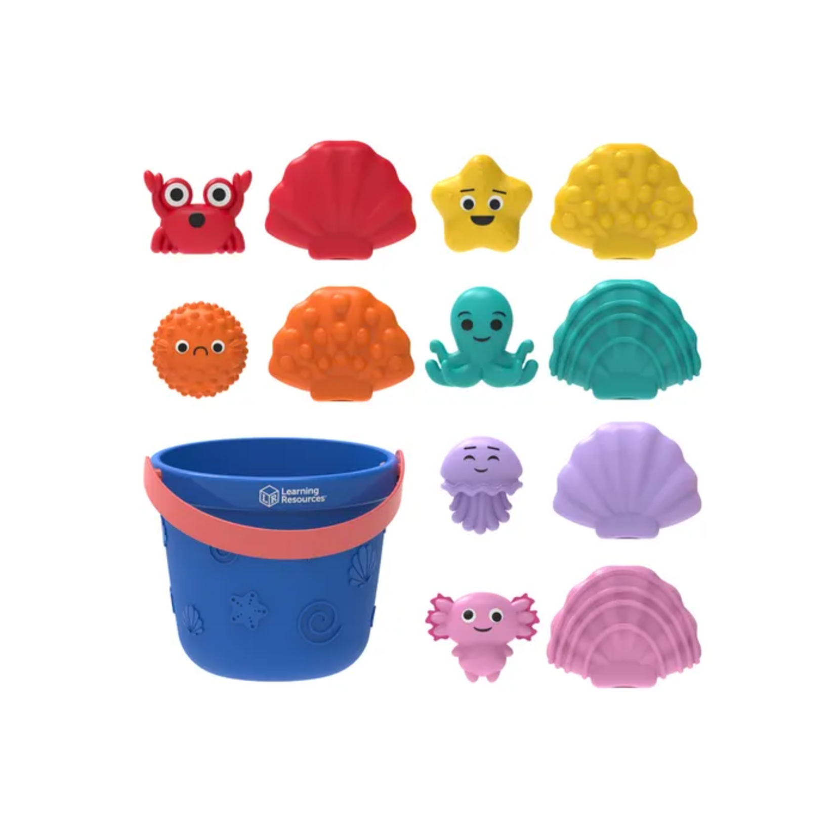 Ocean Emotion Seashells - Shop The Toy Room