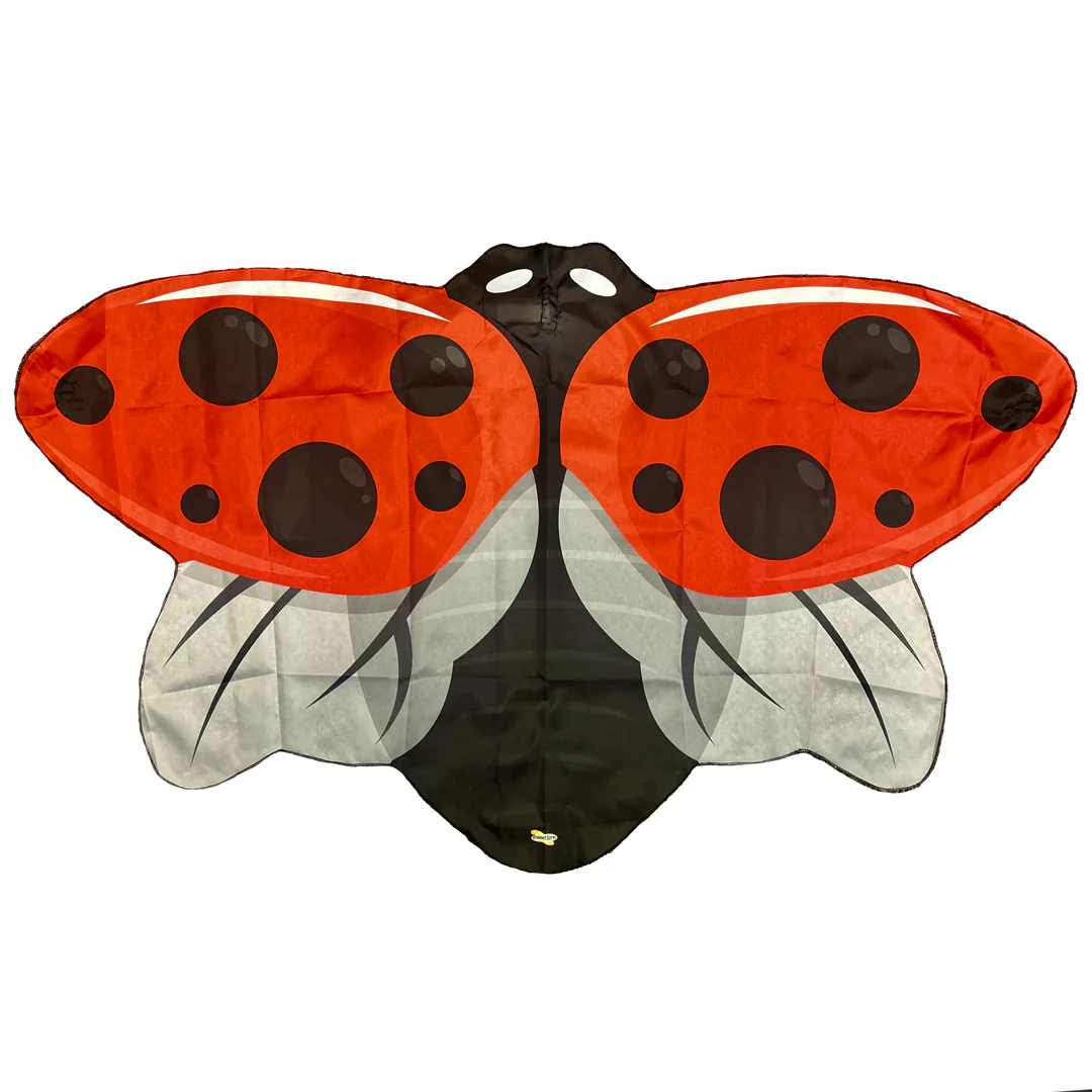 Red Ladybug Wings - Shop The Toy Room