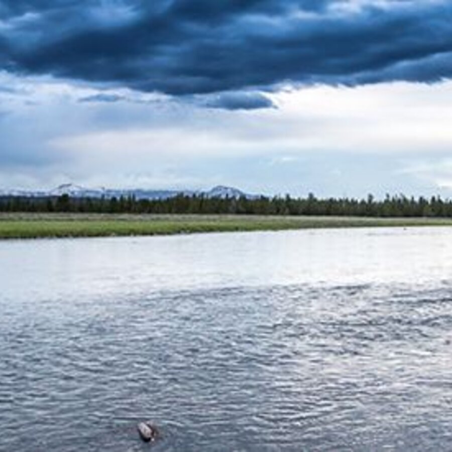 TroutHunter's Online Fly Shop - TroutHunter - Island Park, ID