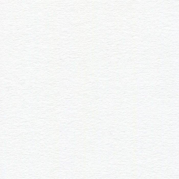 CANSON CANSON ARTIST SERIES PURE WHITE DRAWING PAD 14X17 24/SHT ...