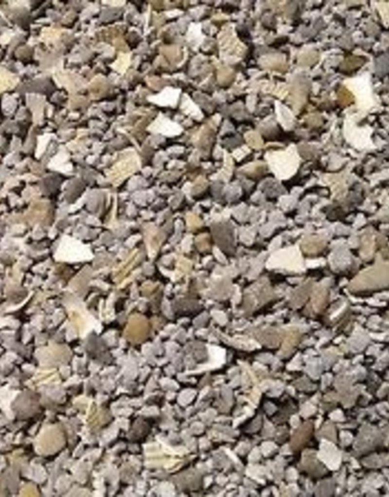 Shell mix - (Small Tub) - Pet Central Limited