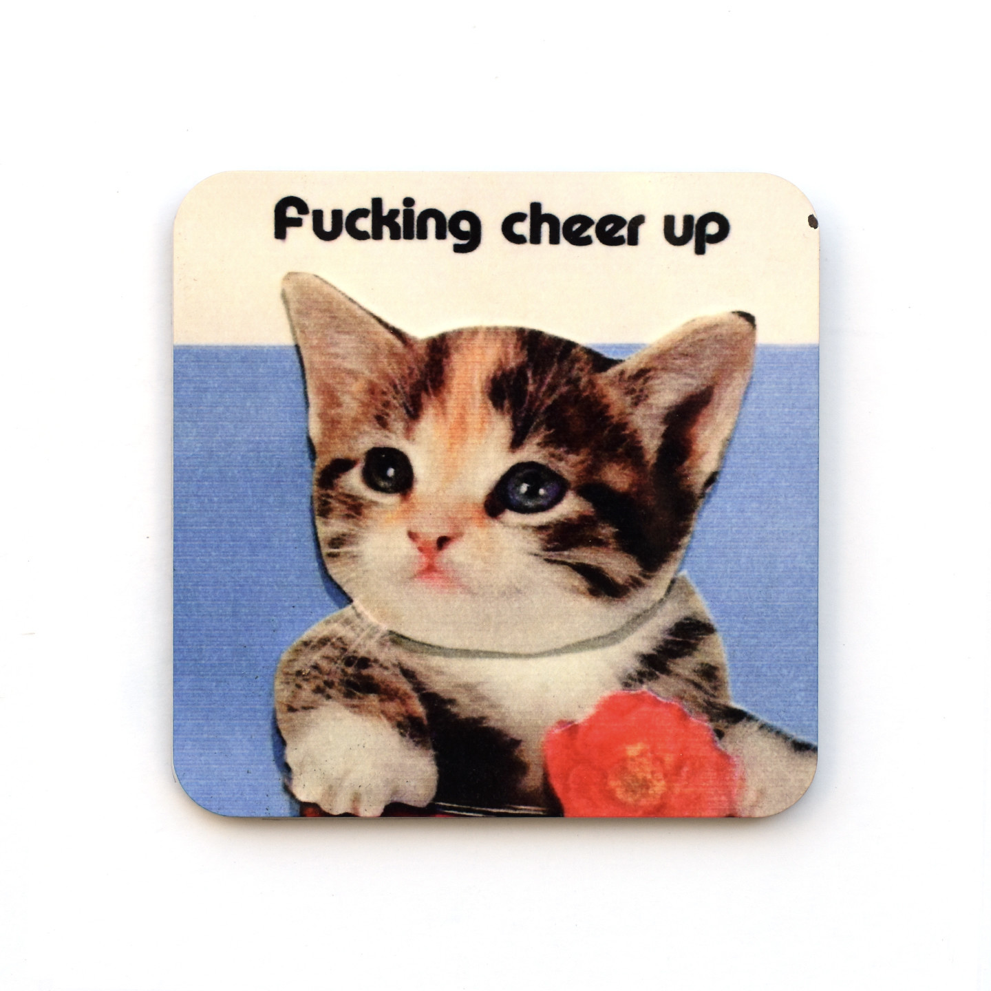 Fucking Cheer Up Cat Coaster - Home