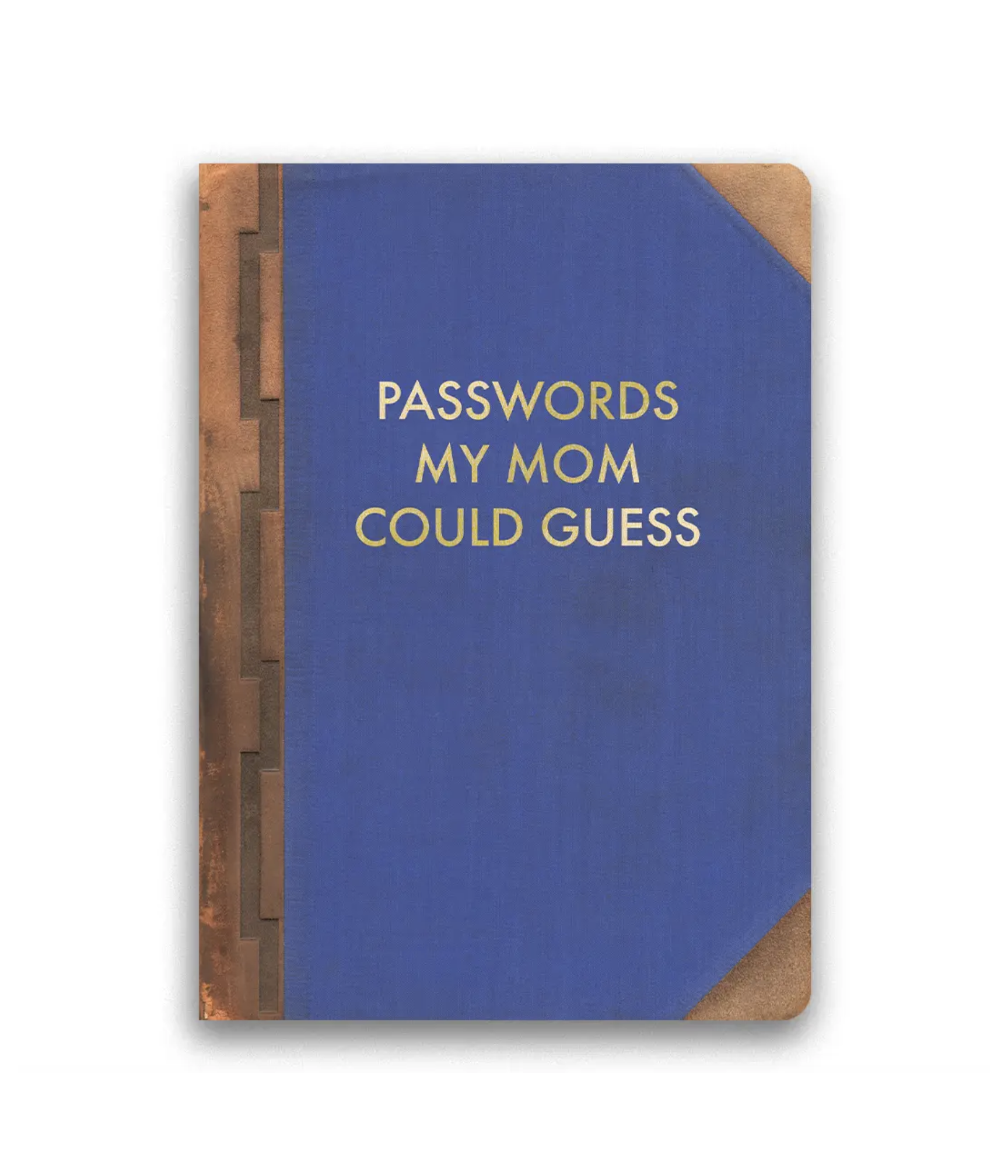 Passwords My Mom Could Guess Journal - Home