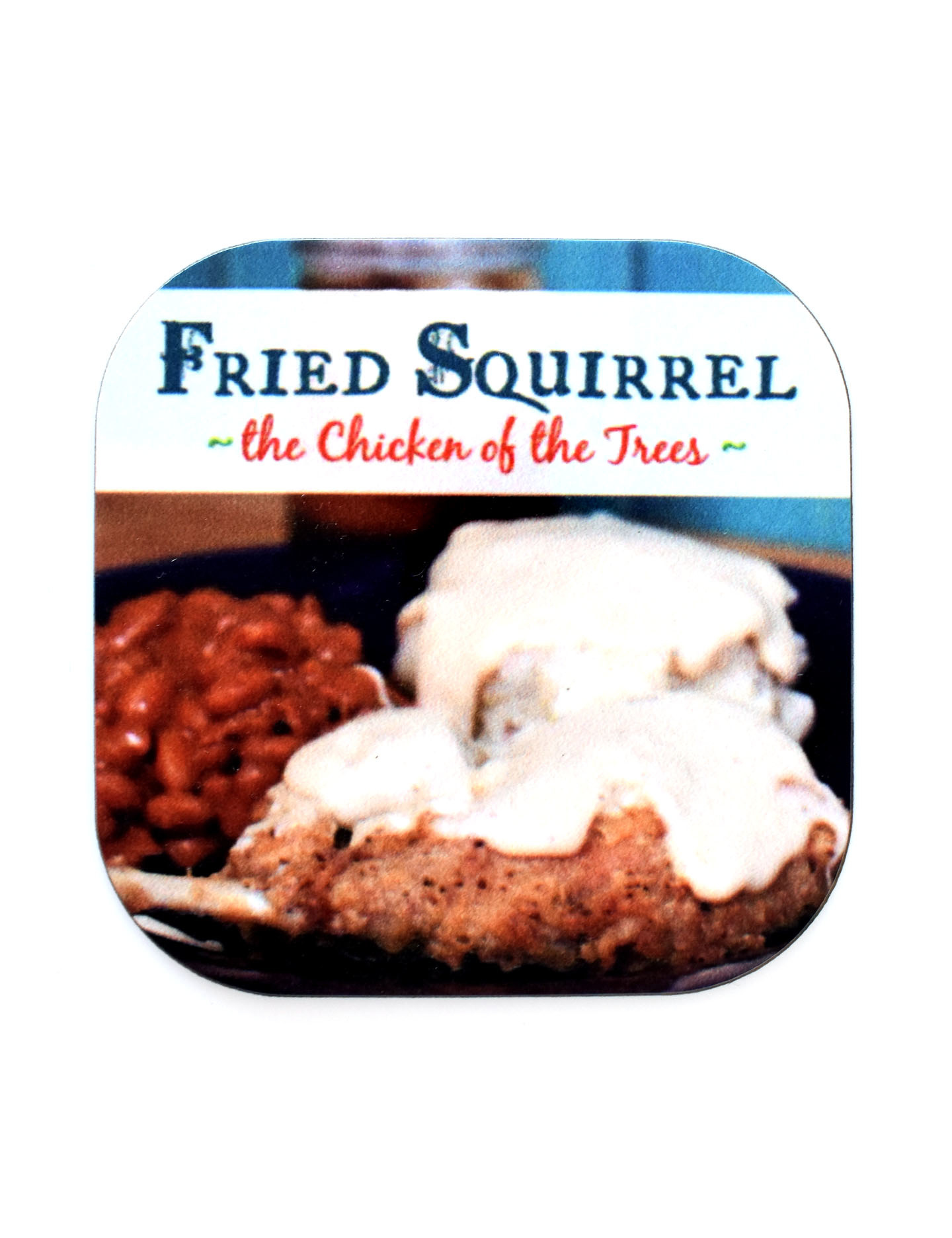 Fried Squirrel And Gravy