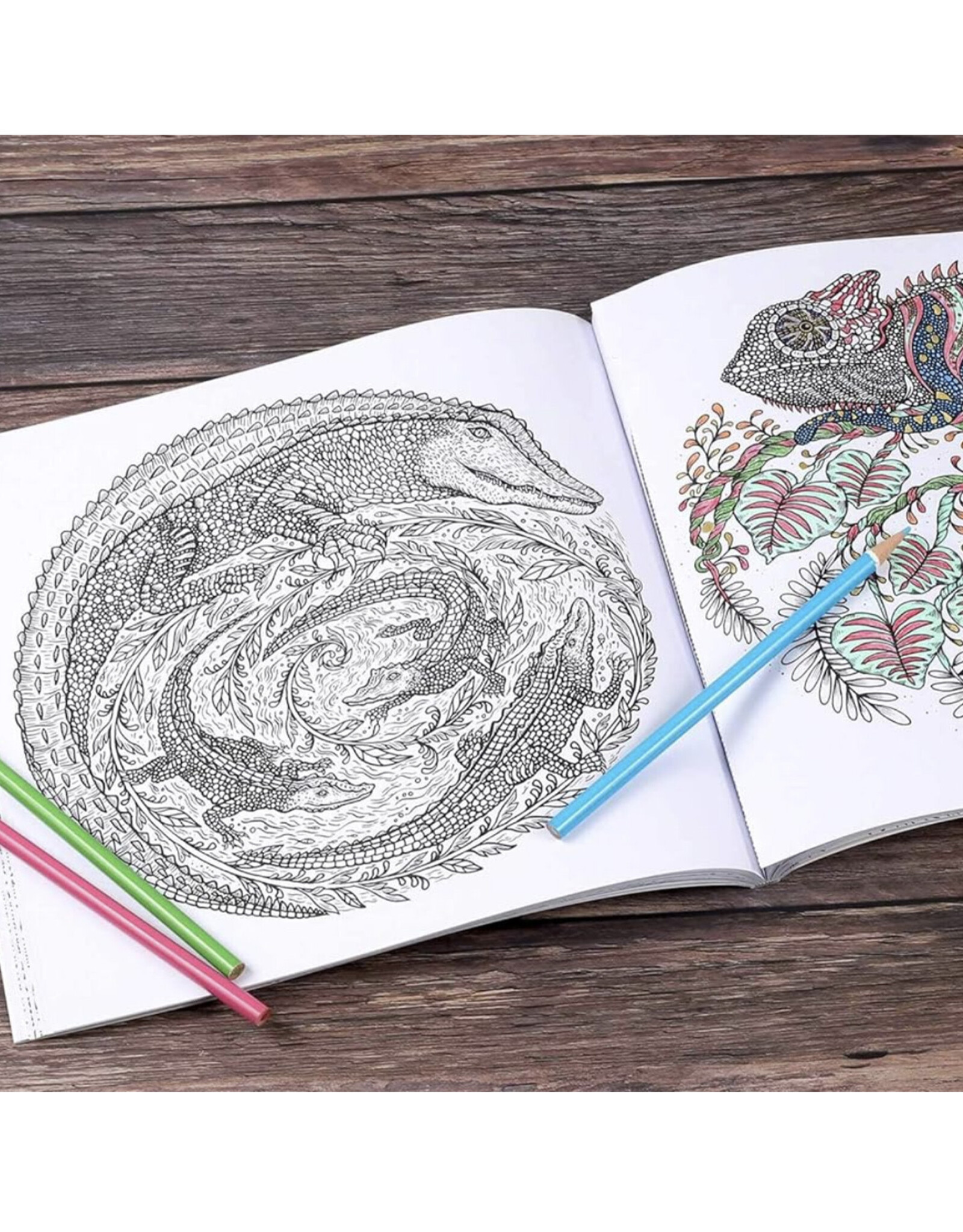 Circle of Life Coloring: A Coloring Journey - Home