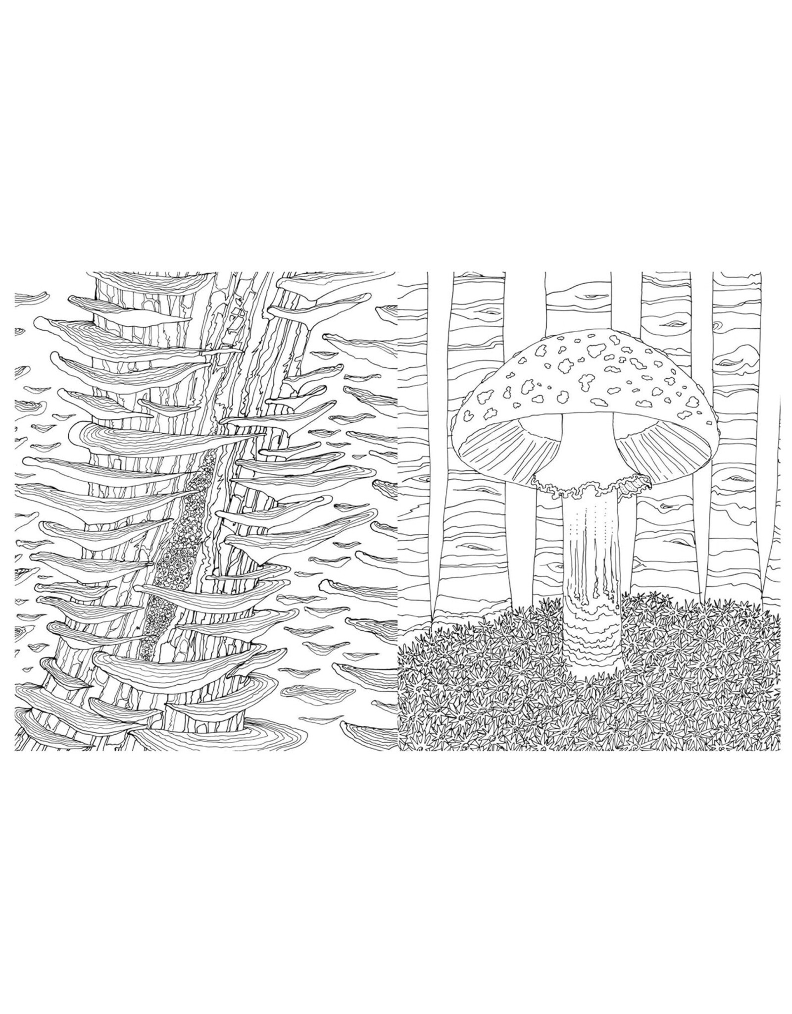 Fantastic Fungi: The Coloring Book - Home