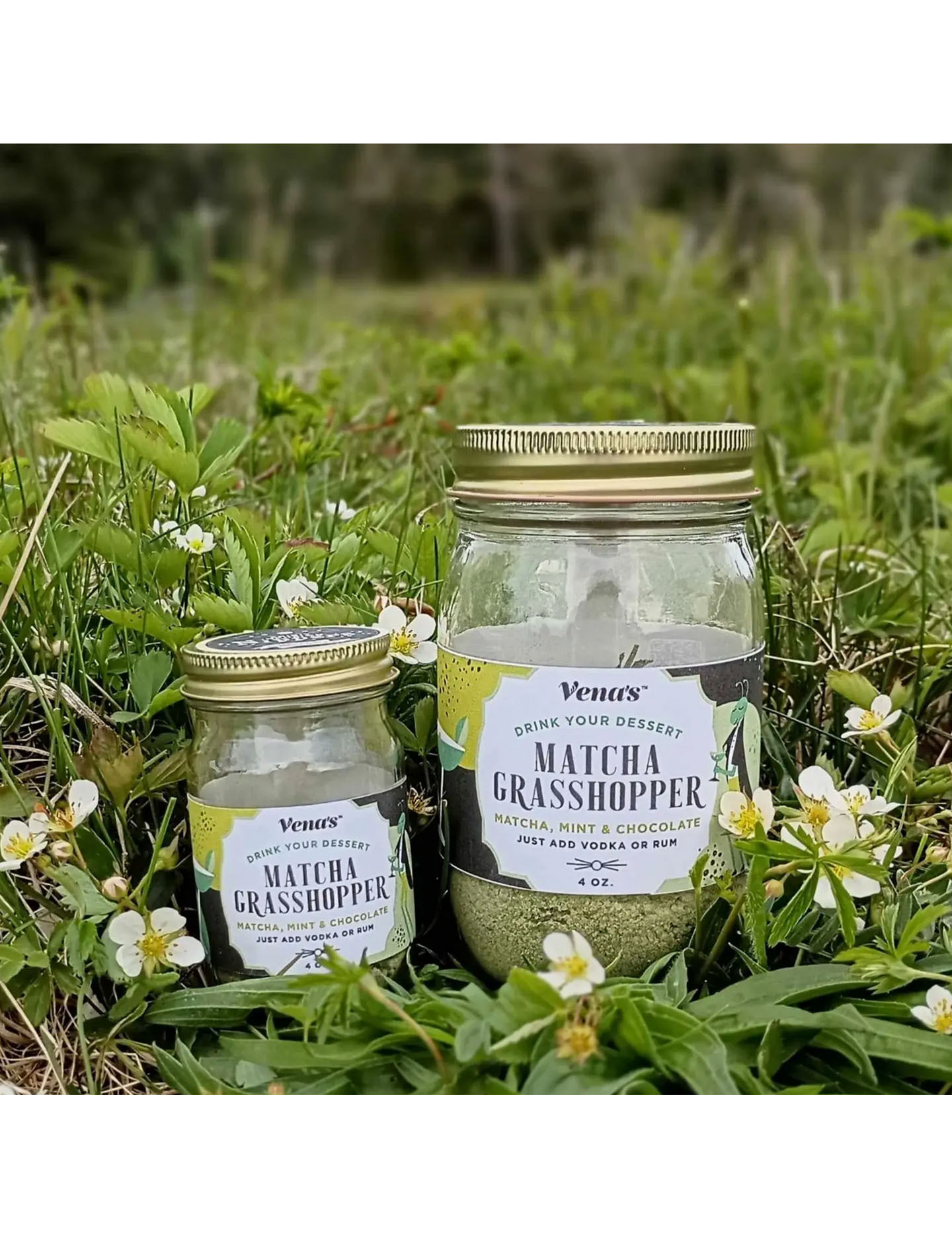 Matcha Grasshopper Infusion Jar - Home