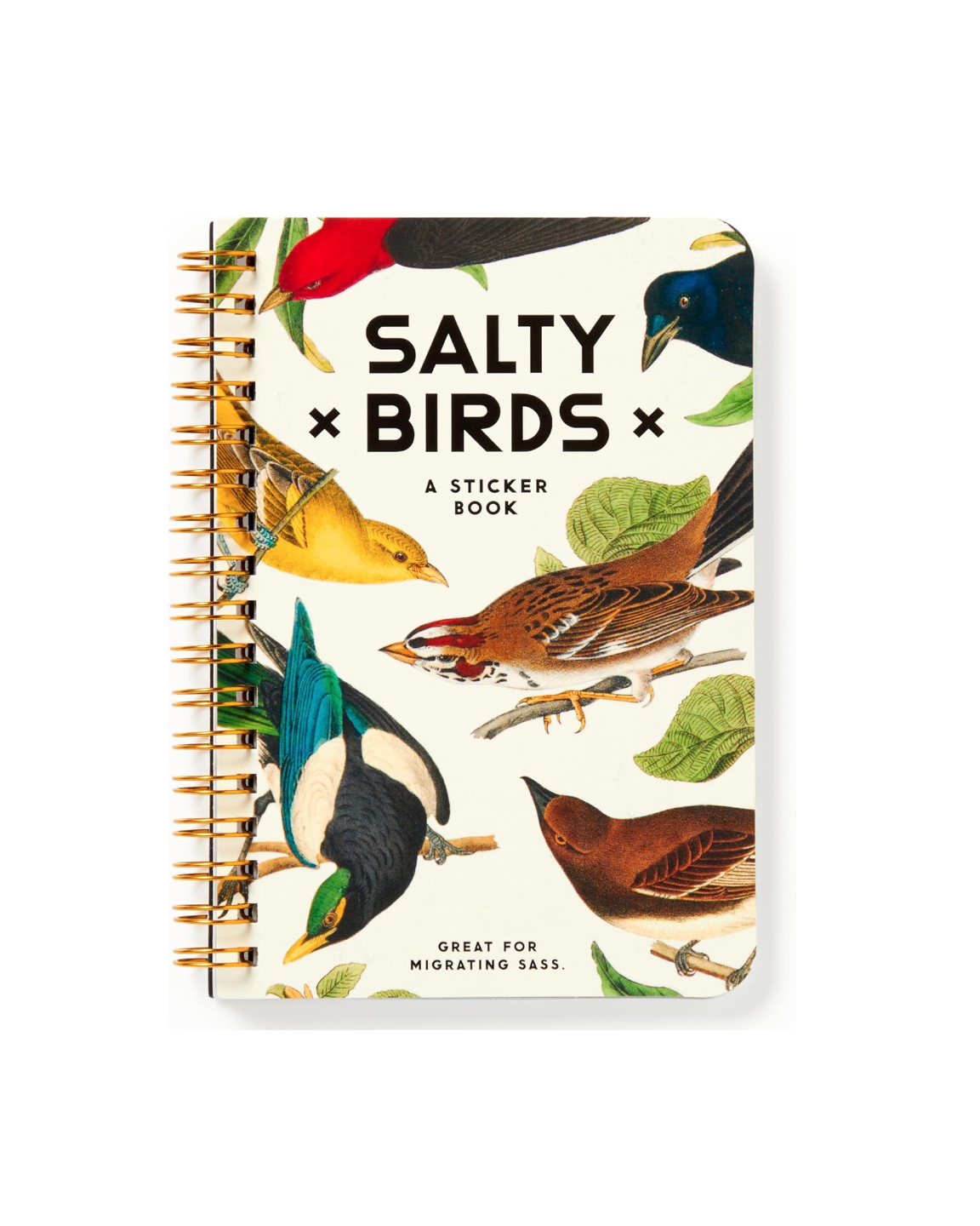 Salty Birds Sticker Book - Home