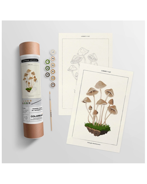 Mushroom Botanical - Paint By Numbers Kit - Home