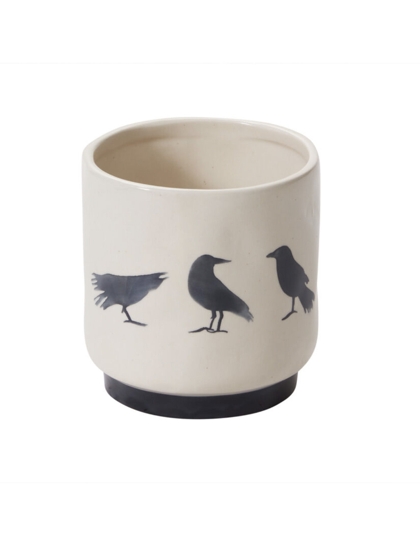 Corvus Crow Planter Pot - Home