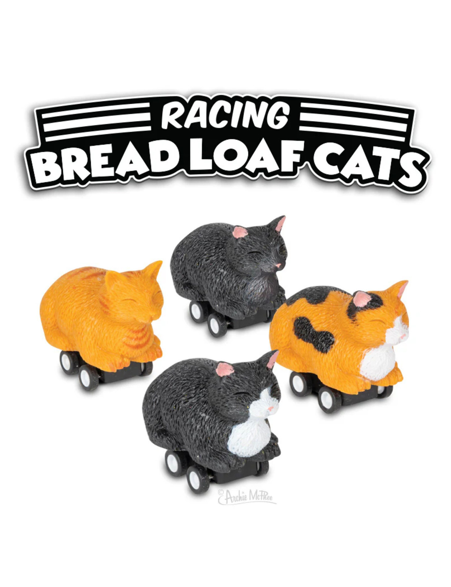 Racing Loaf Cat - Home