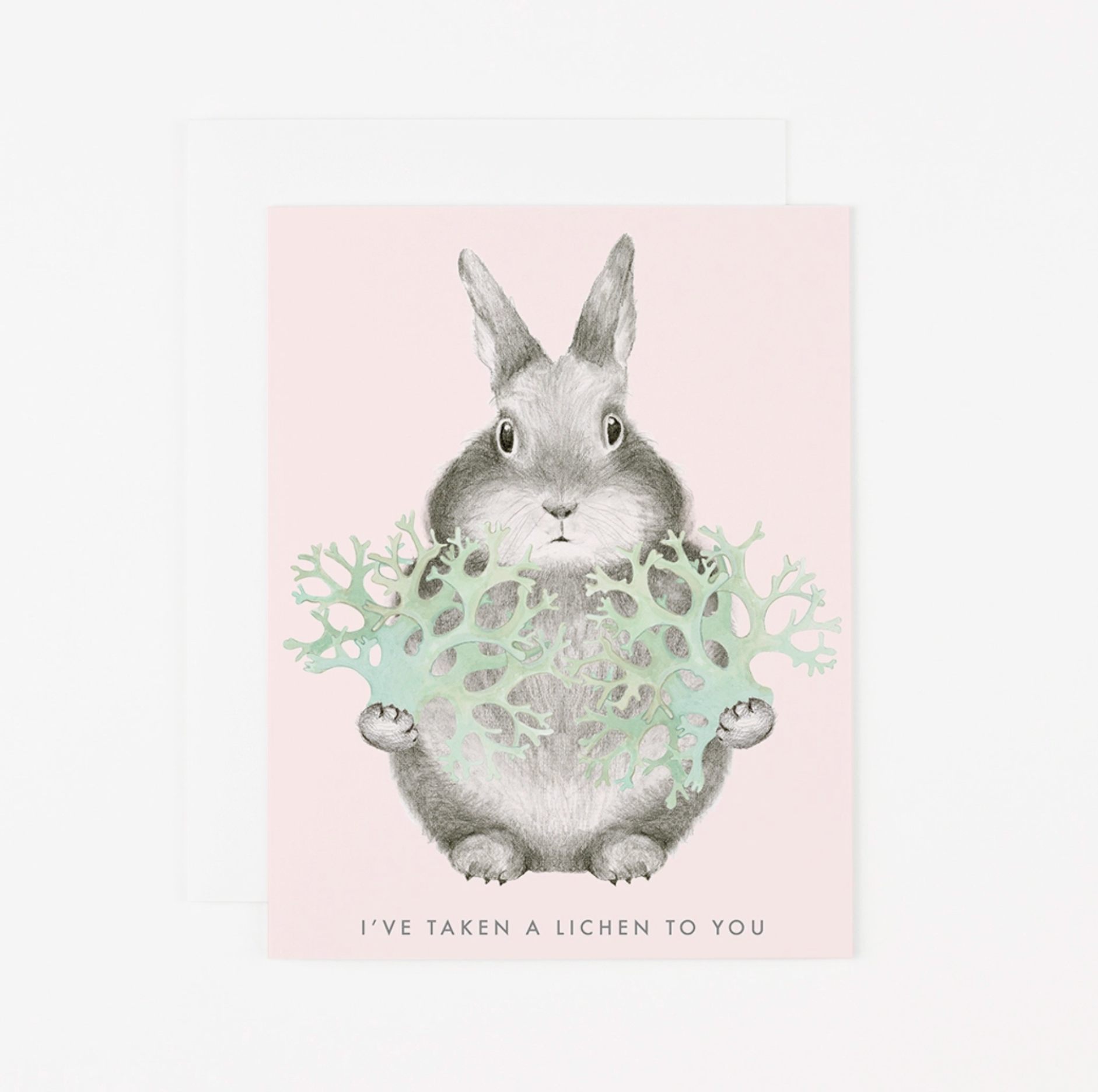 I've Taken a Lichen to You Bunny Greeting Card - Home