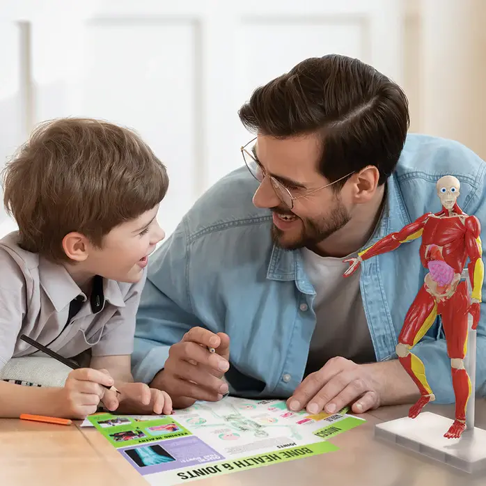 Interactive Human Body BAT-1604 - Kaos Kids