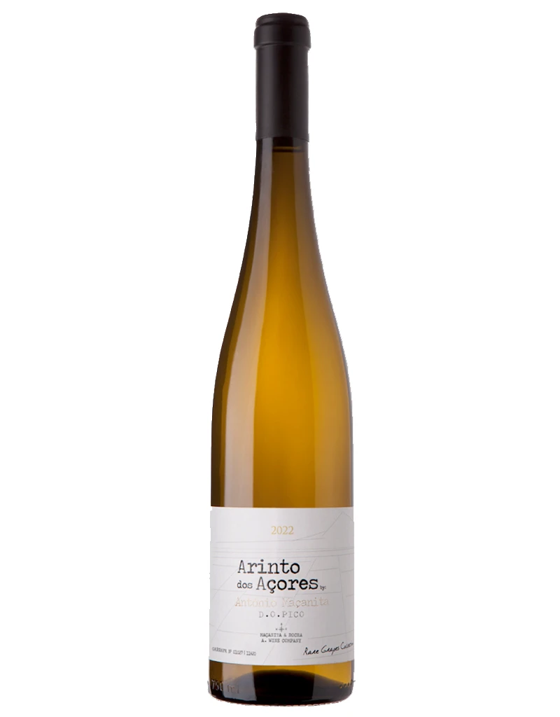 Wine - The Wine Wave