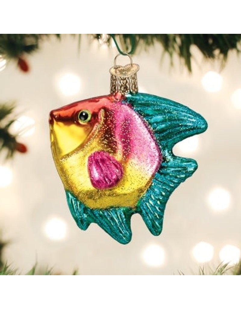 Pink/Yellow Tropical Angelfish - The Spruce House