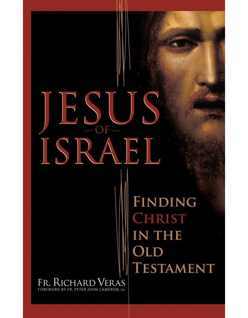 Jesus of Israel - Finding Christ in the Old Testament - Queen of Angels ...