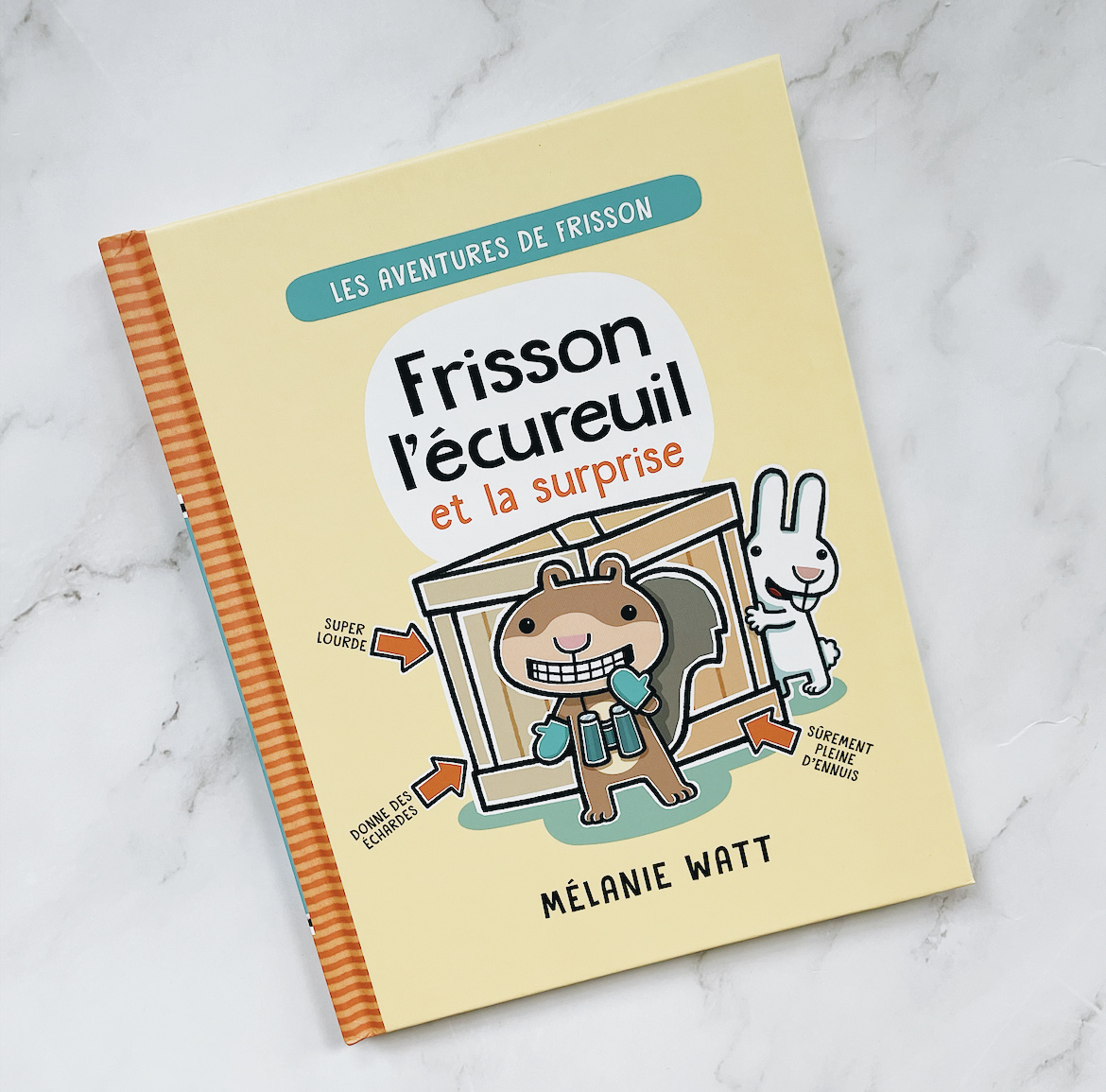 LIVRE - FRISSON L'ÉCUREUIL : ET LA SURPRISE - La Petite Penderie