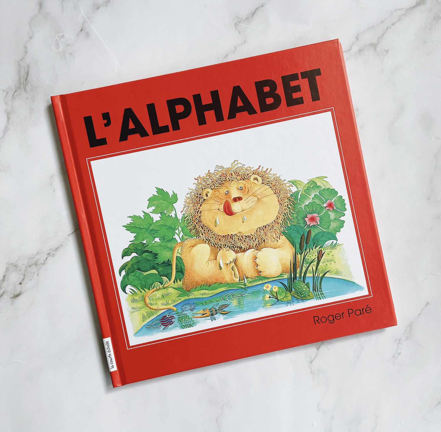 LIVRE - L'ALPHABET - La Petite Penderie