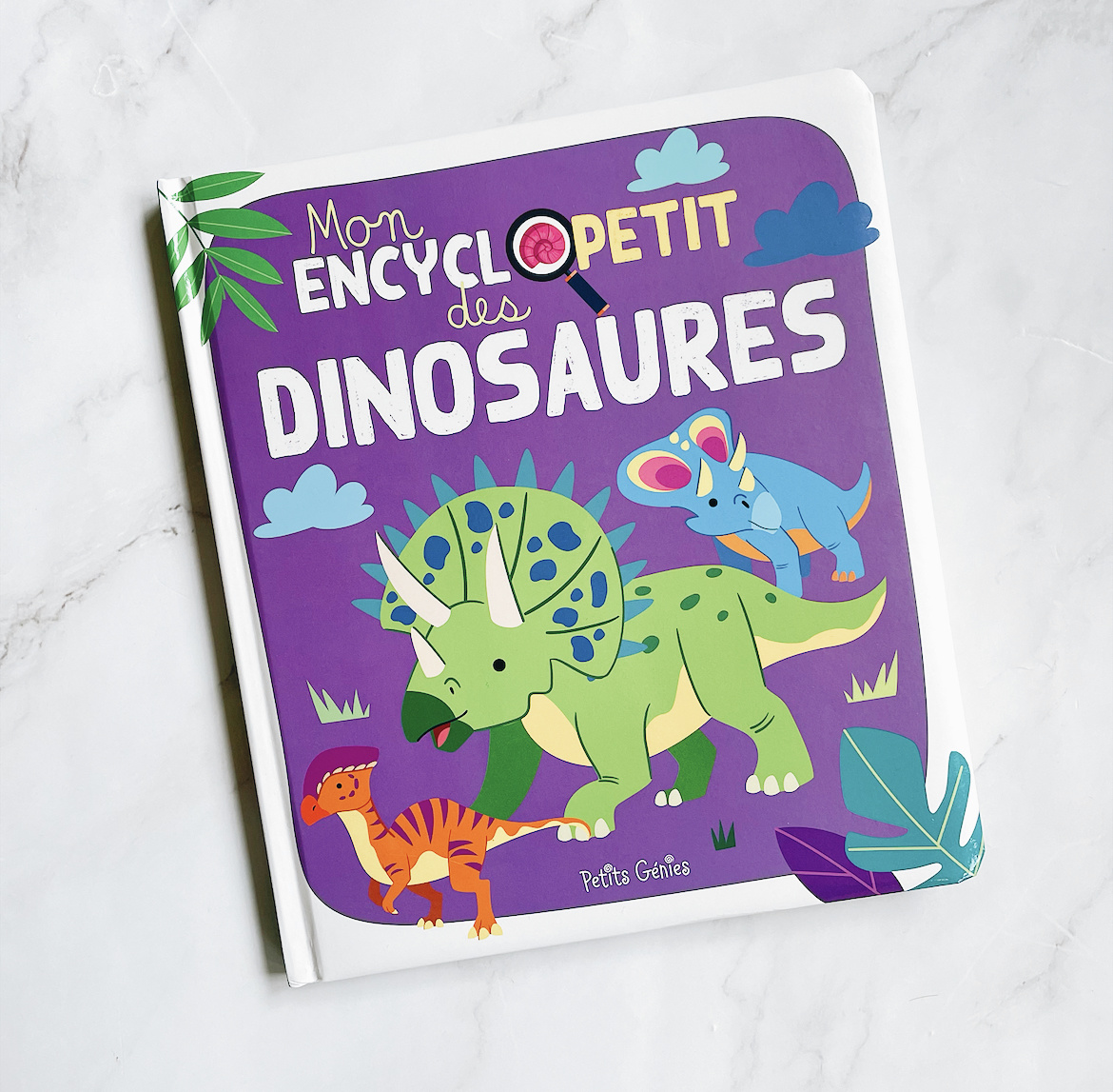 LIVRE - MON ENCYCLOPETIT DES DINOSAURES - La Petite Penderie