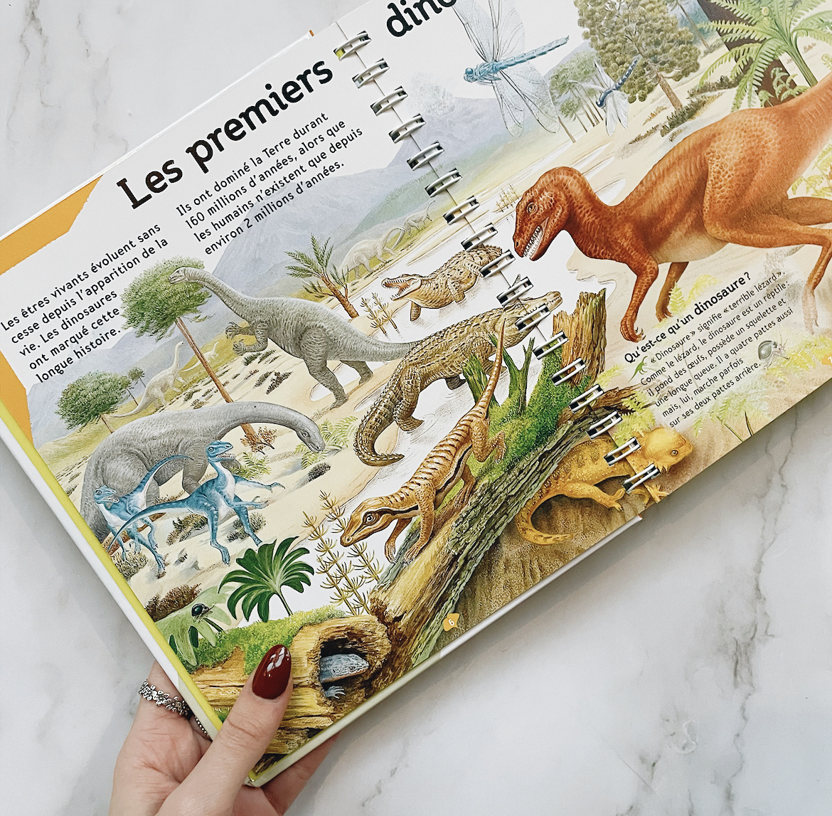 LIVRE - LA PETITE ENCYCLOPEDIE DES DINOSAURES - La Petite Penderie