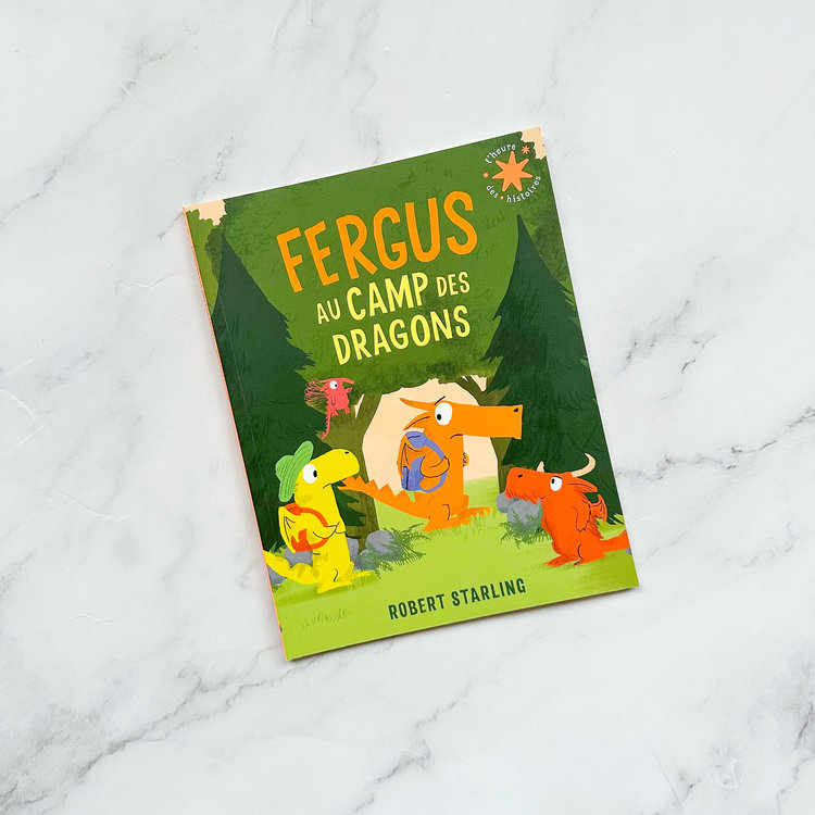 LIVRE - FERGUS AU CAMP DES DRAGONS - La Petite Penderie