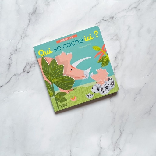LIVRE - QUI SE CACHE ICI ? - La Petite Penderie