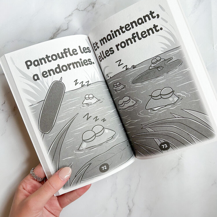LIVRE - PANTOUFLE AIME COMPTER - La Petite Penderie