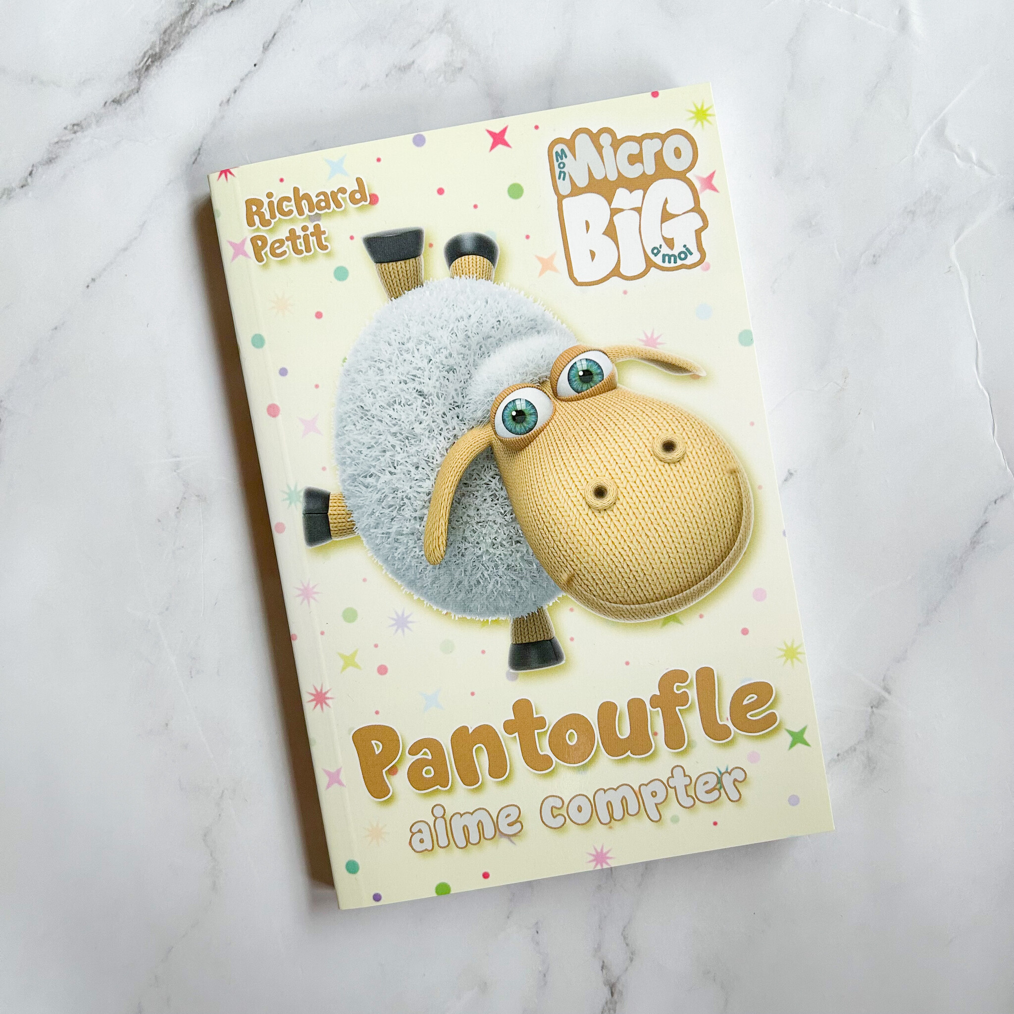 LIVRE - PANTOUFLE AIME COMPTER - La Petite Penderie