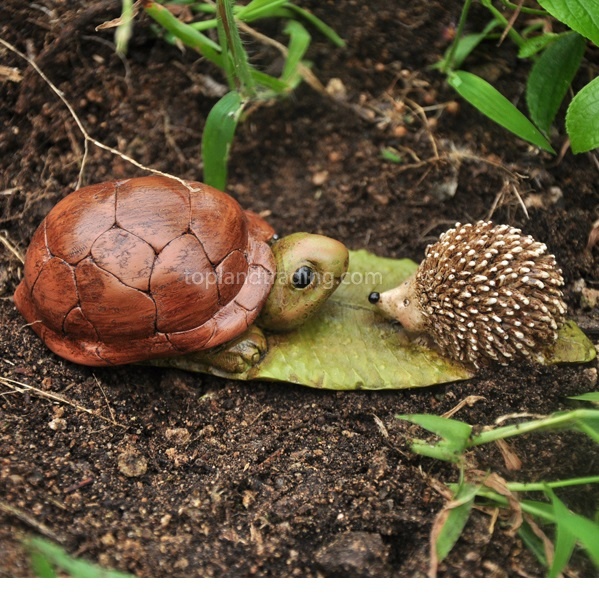 TURTLE AND HEDGEHOG - Schoolhouse Earth