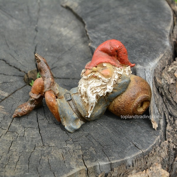 GNOME NAPPING - Schoolhouse Earth