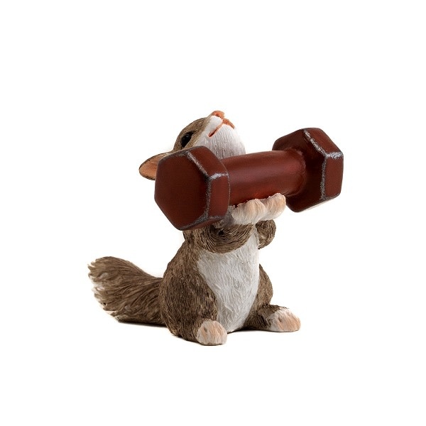 SQUIRREL EXERCISING - Schoolhouse Earth