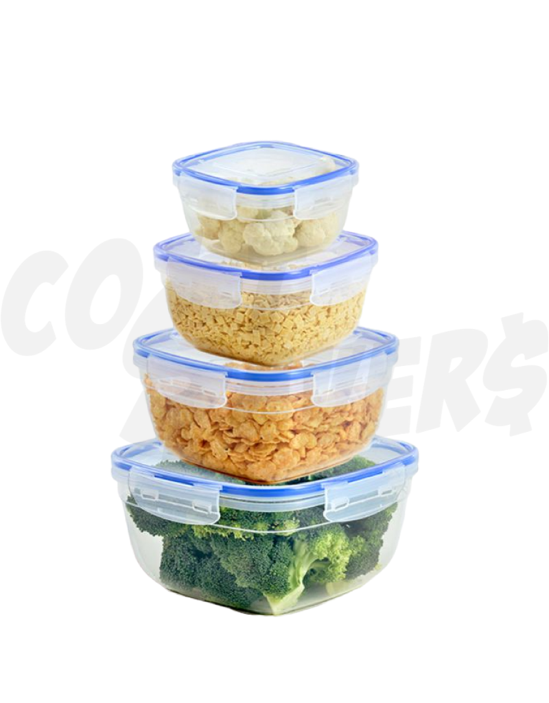 Dunya 4pc Square Storage Set - Cost Savers